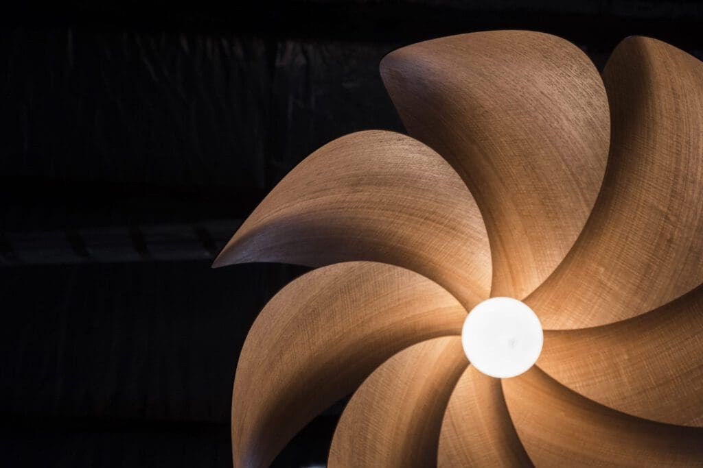 Playing in the shadows, Tasmanian Timber is brought to light ...