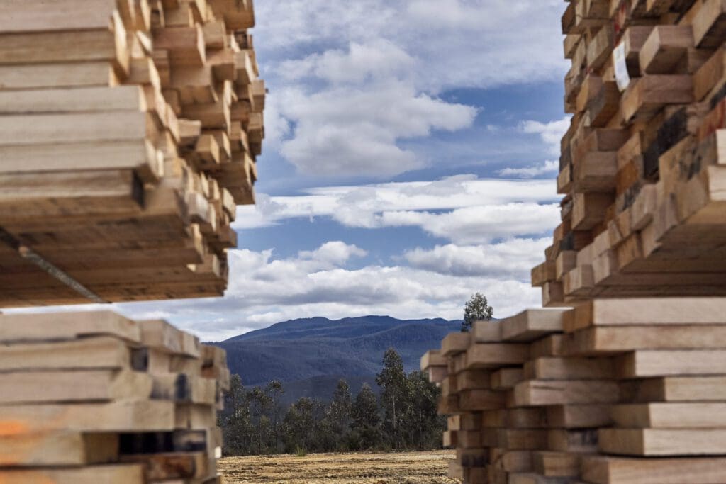 Neville Smith Forest Products to increase Southwood production and ...